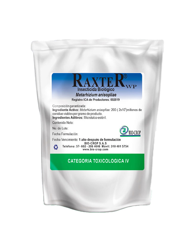 RAXTER WP: Insecticida Biológico con Metarhizium anisopliae
